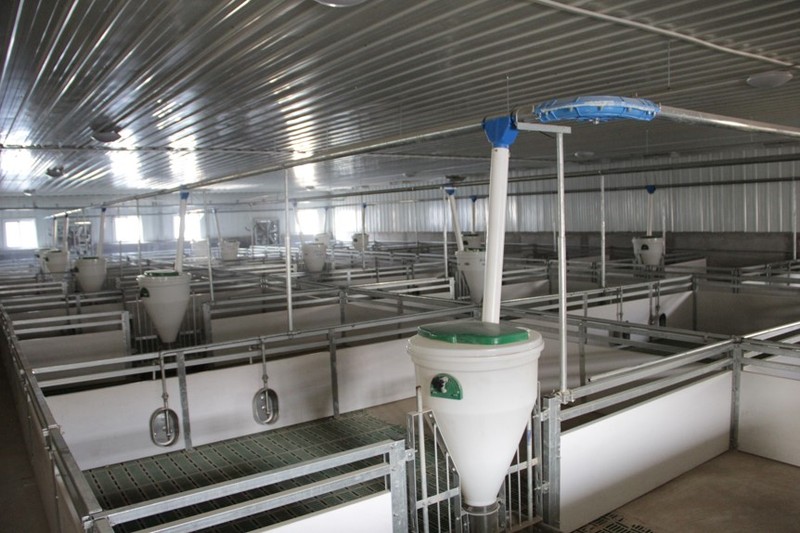 Nursery pen - Henan Pales Farming Machinery Co.,LTD.